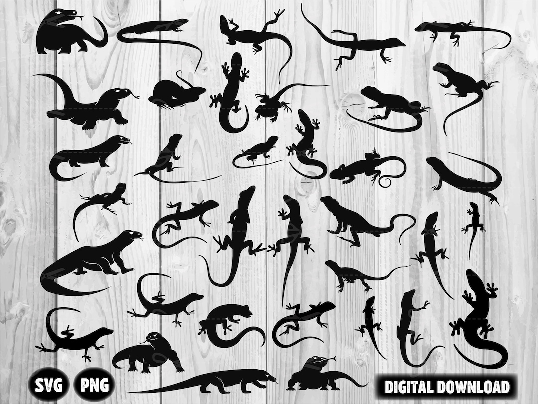 Lizard Svg Bundle, Reptile Svg, Lizard Silhouette, Lizard Clipart ...