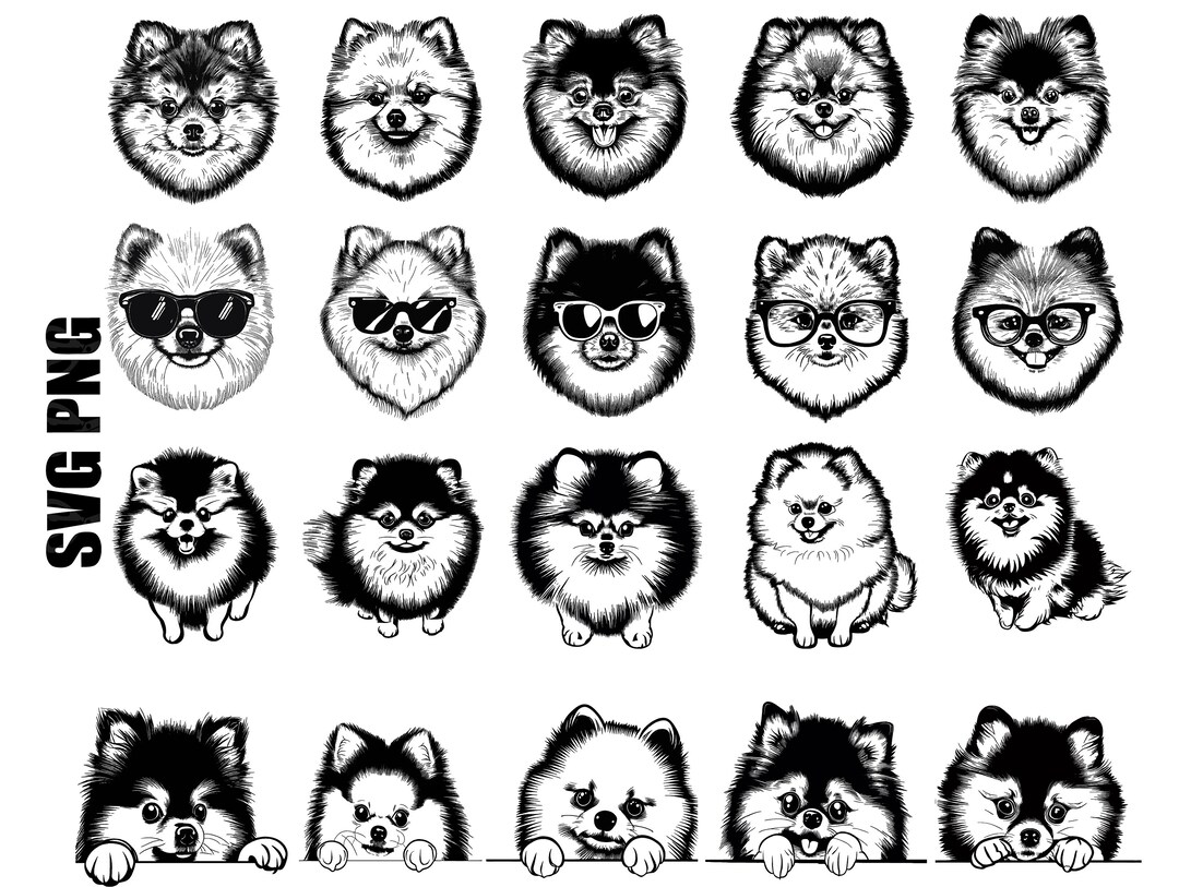 Pomeranian Svg Pomeranian Dog Svg Bundle Pomeranian Png - Etsy