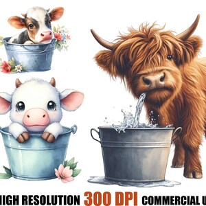 Watercolor Farm Animals in A Bucket Png Bundle | Highland Cow in a ...