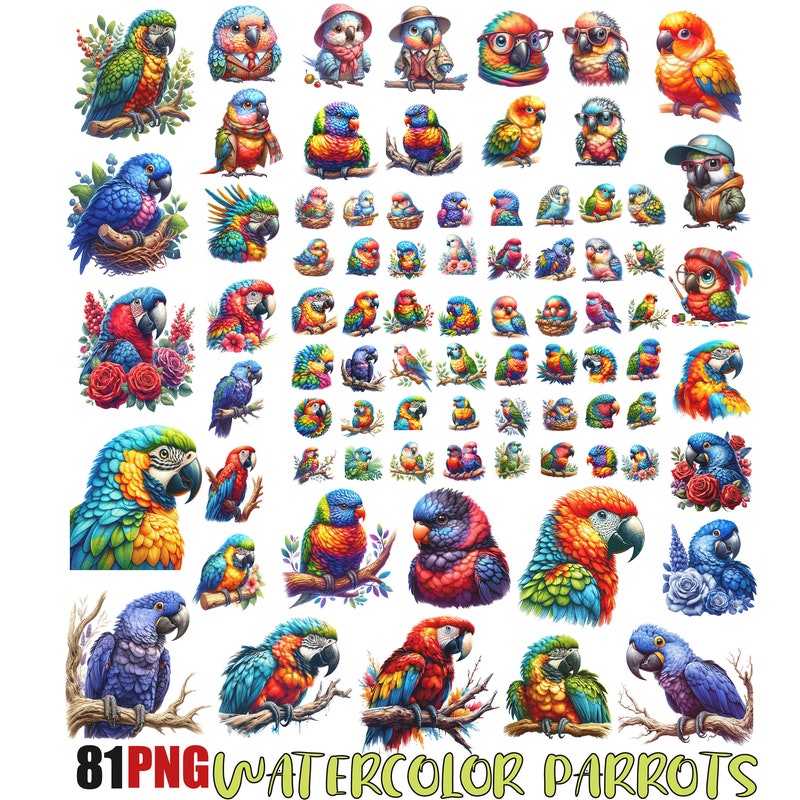 Parrot Watercolor - Etsy