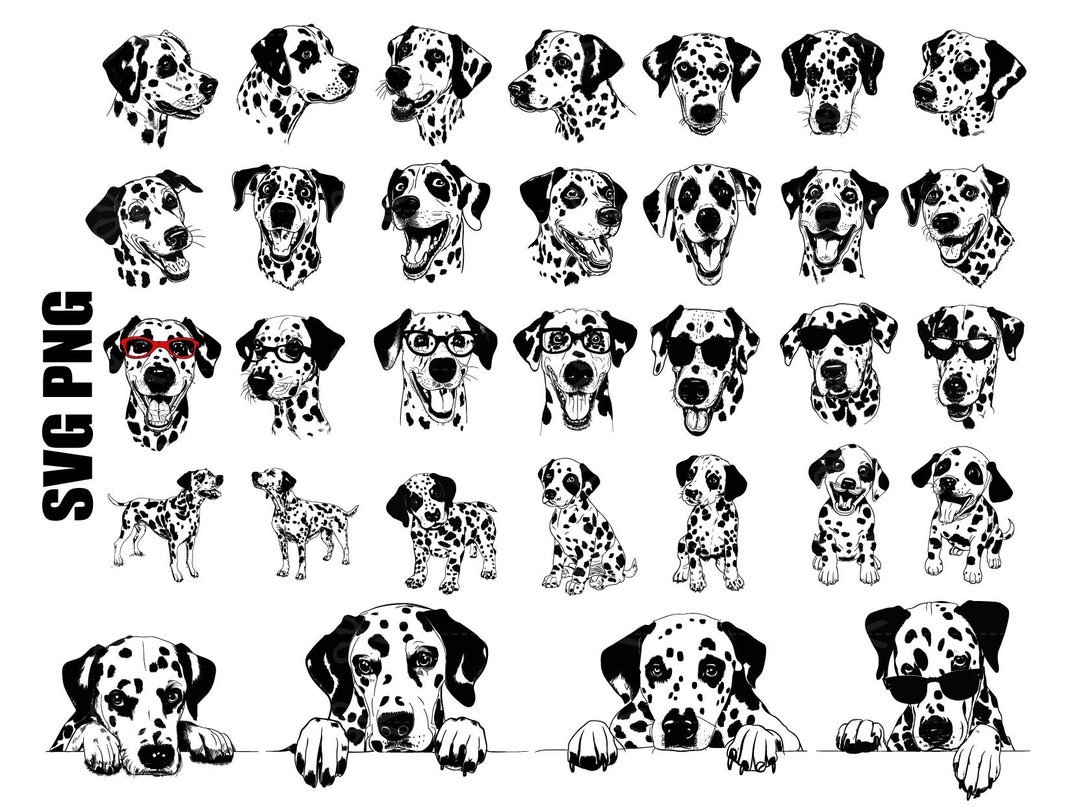 Dalmatian Svg, Dalmatian Dog Svg Bundle, Dalmatian Cut File for Cricut ...