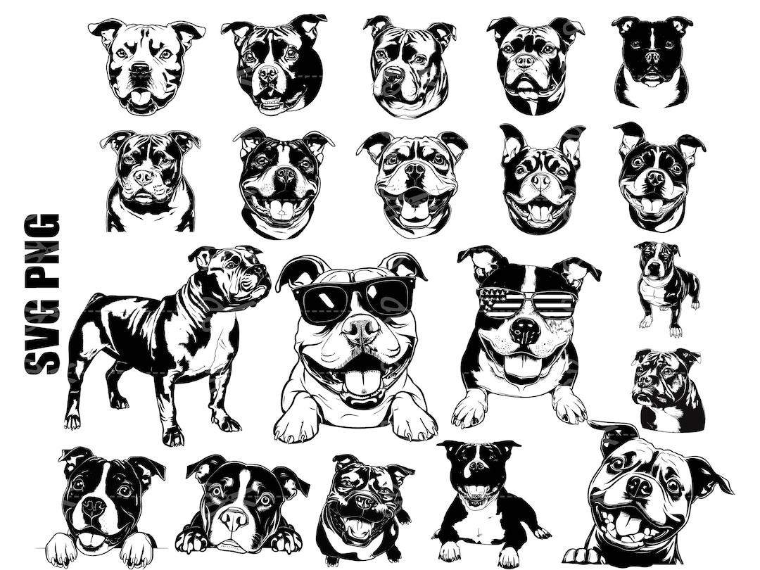 Staffordshire Bull Terrier Svg, Staffordshire Svg, Staffordshire Png ...