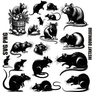 Rat Svg, Rat Clipart, Rat Svg Cut Files, Rat Silhouette, Rodents Svg ...