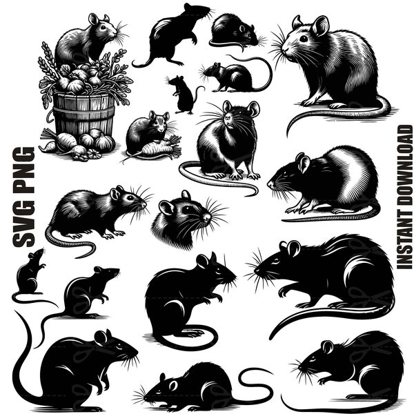 Mouse Rat Svg - Etsy