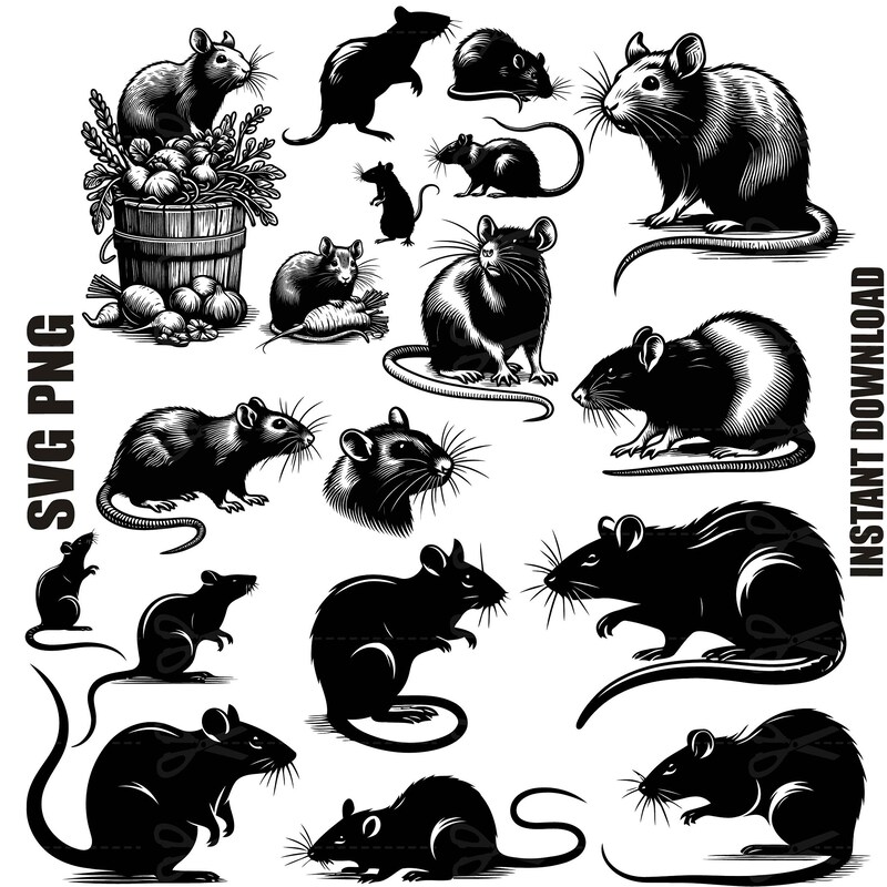 Mouse Rat Svg - Etsy