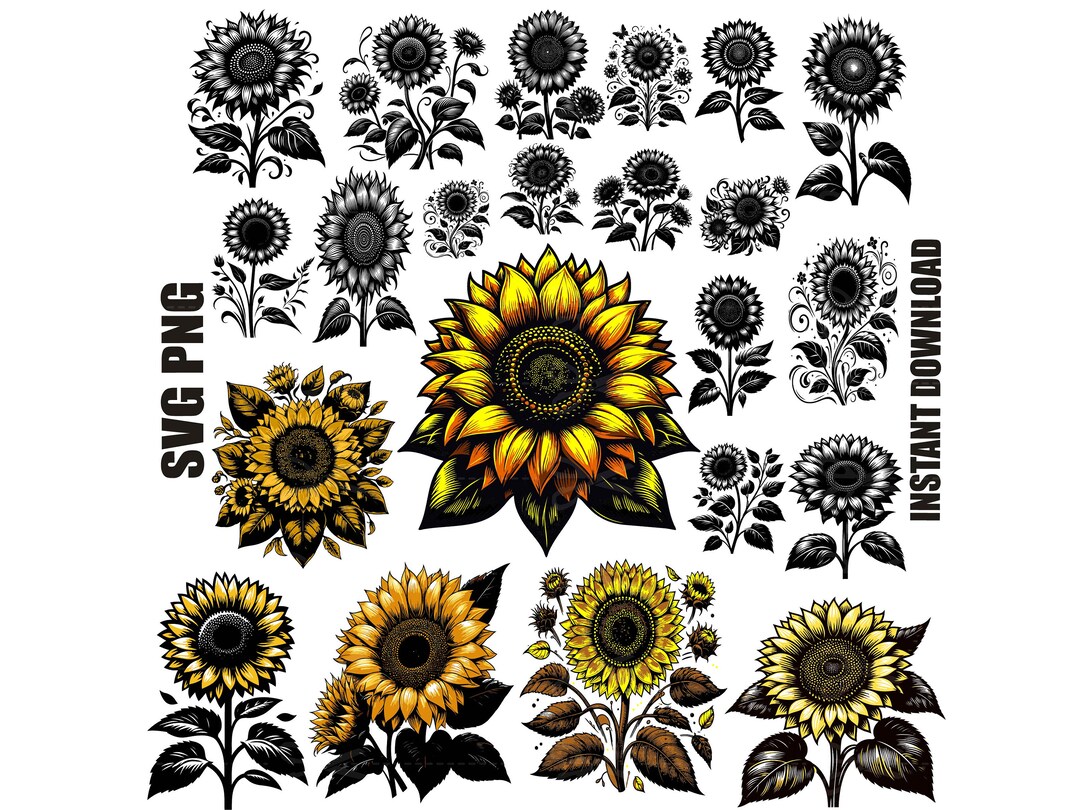 Sunflower SVG, Sunflower Cricut, Sunflower Clipart, Sunflower Cut File ...