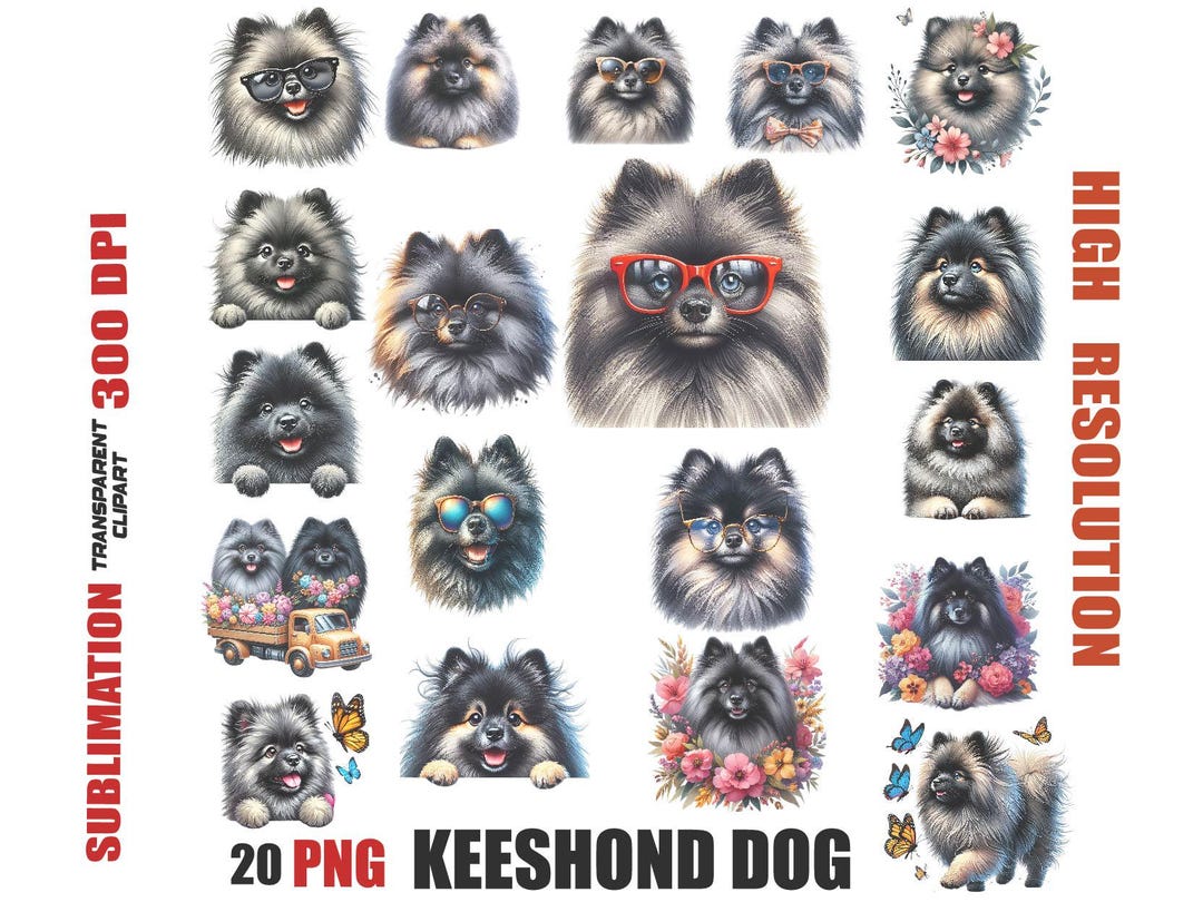 Keeshond Png, Peeking Keeshond Png, Dog Graphics, Dog Sublimation ...