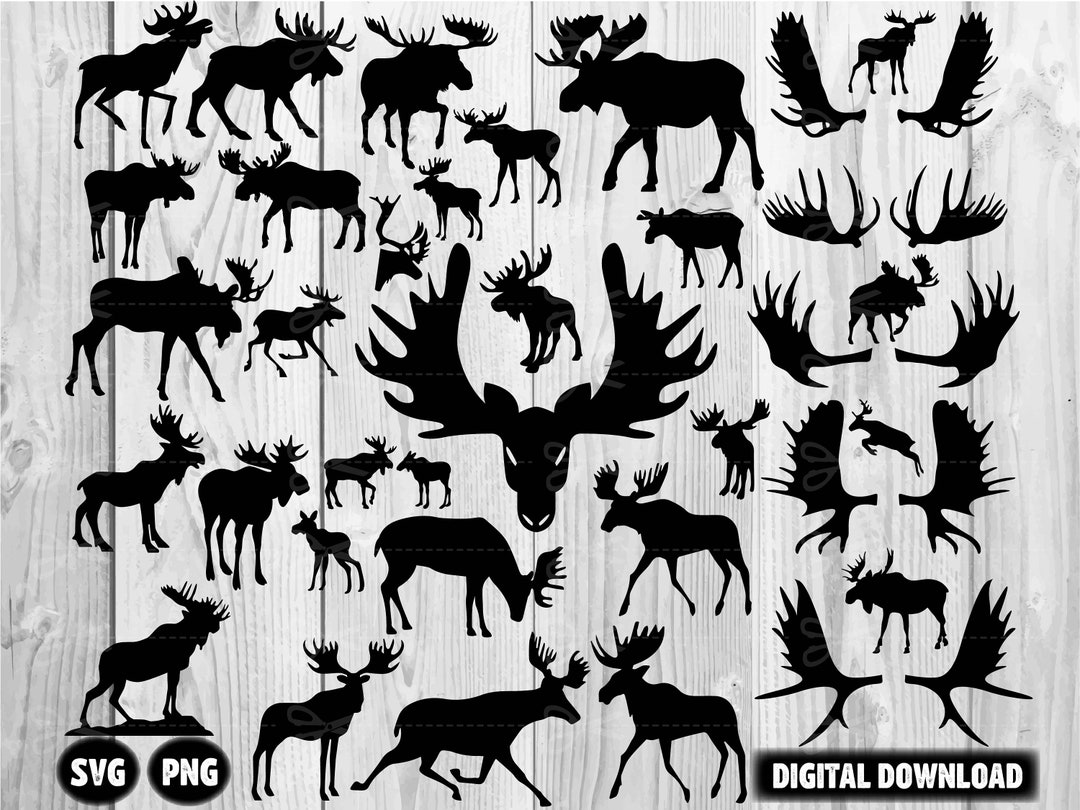 Moose Svg, Moose Silhouette, Moose Svg Bundle, Moose Clipart, Moose ...