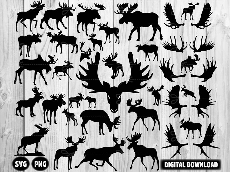 Moose Svg Moose Silhouette Moose Svg Bundle Moose Clipart - Etsy