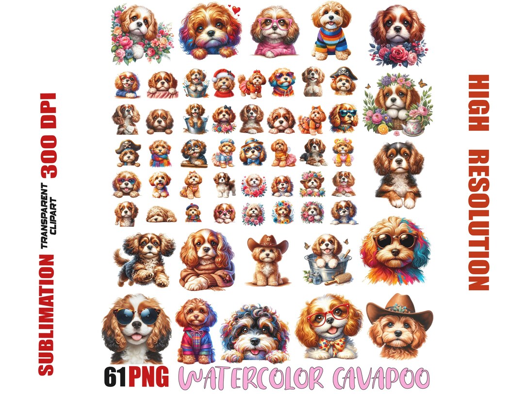 Cavapoo Png, Peeking Cavapoo Png, Dog Graphics, Dog Sublimation ...