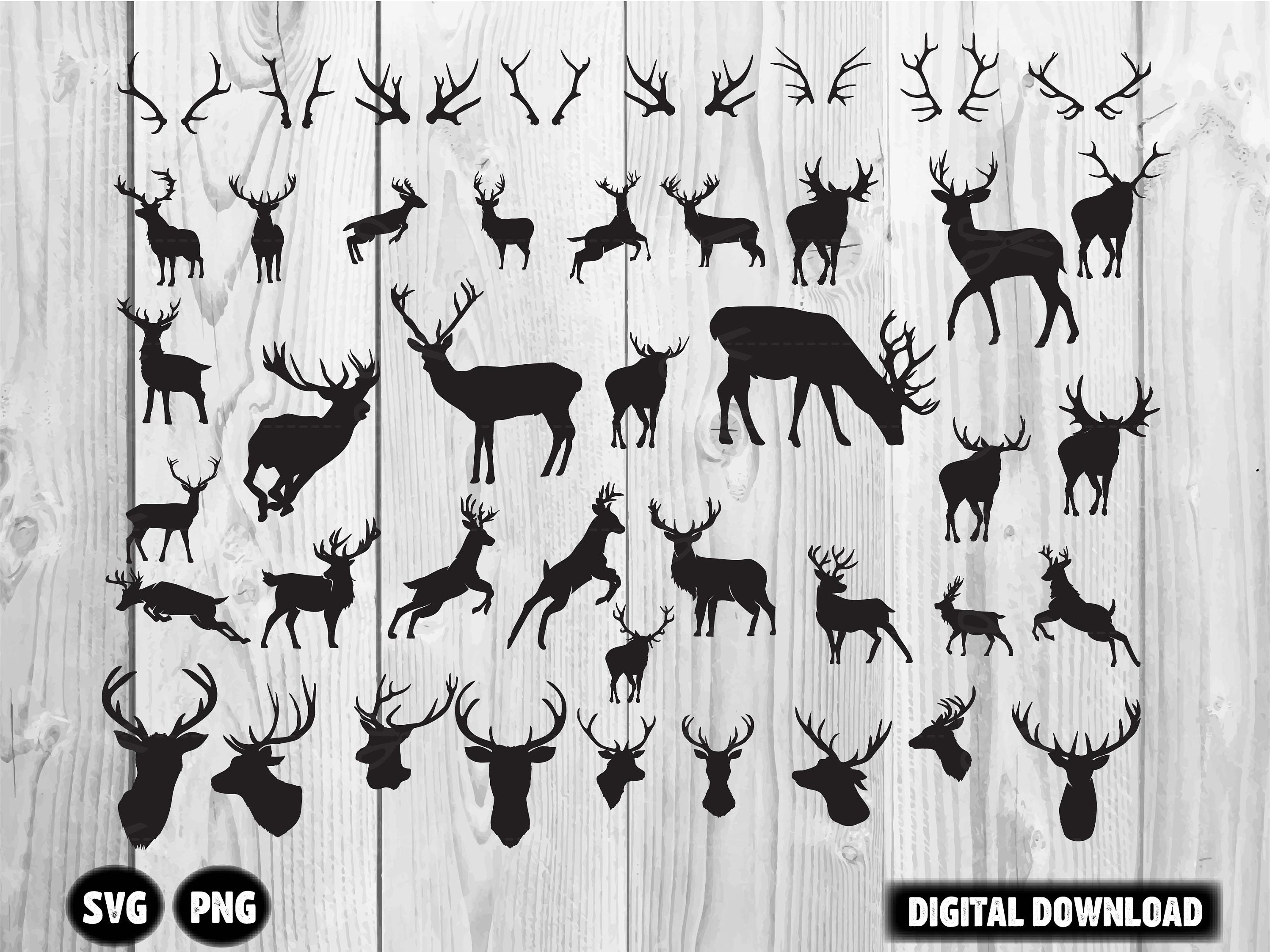 Deer Svg Deer Svg Bundle Deers Svg Antler Svg deer - Etsy Canada