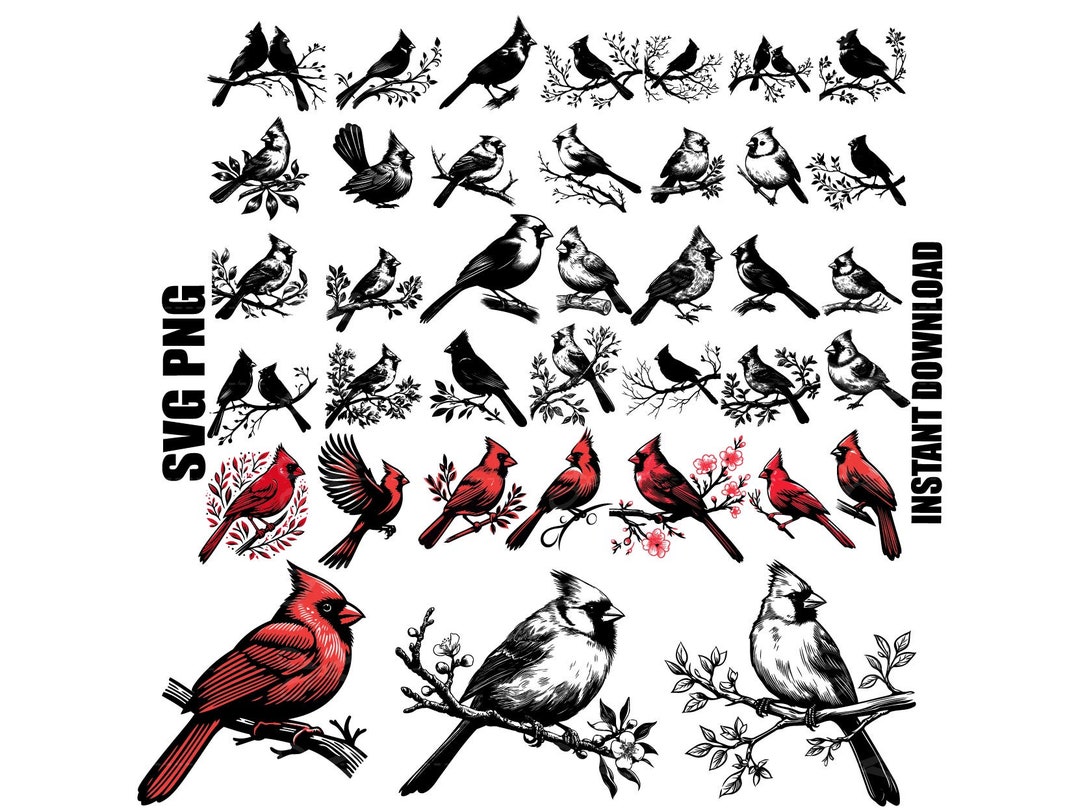 Cardinal SVG Bundle , Memorial Svg, Remembrance Svg, Cardinal ...