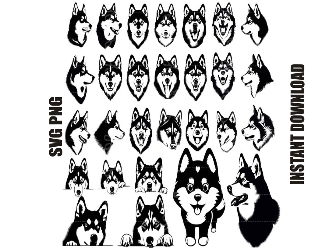 Husky Svg, Husky Head Svg, Husky Clipart, Husky Png, Husky Cut File for ...