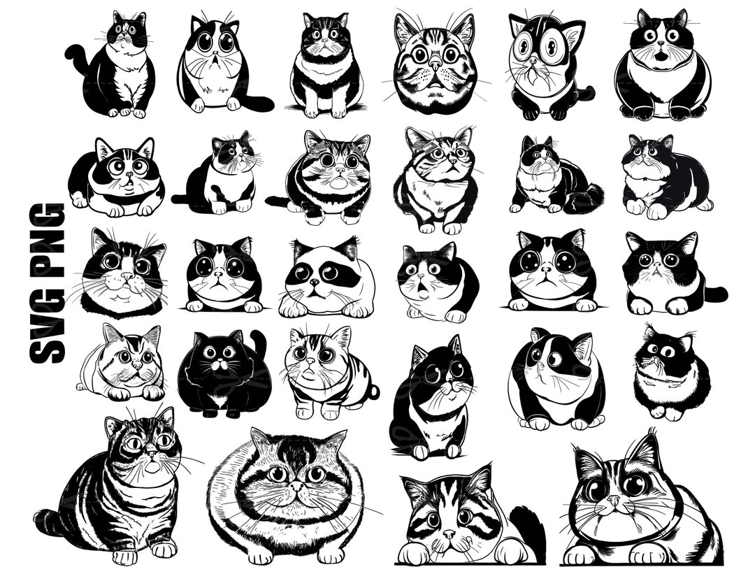 Chonk Cat Svg Fat Cat Svg Funny Chonk Cat Svg Cut File for - Etsy