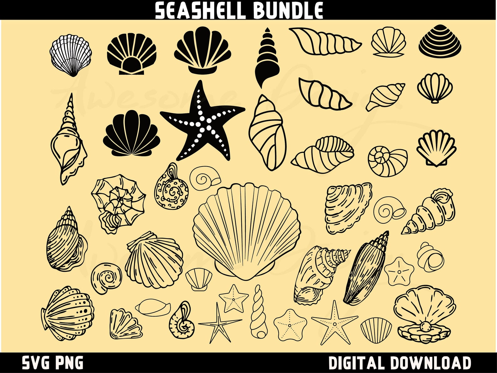 Seashell Svg Seashell Silhouette Sea Shell Svg Shellfish - Etsy