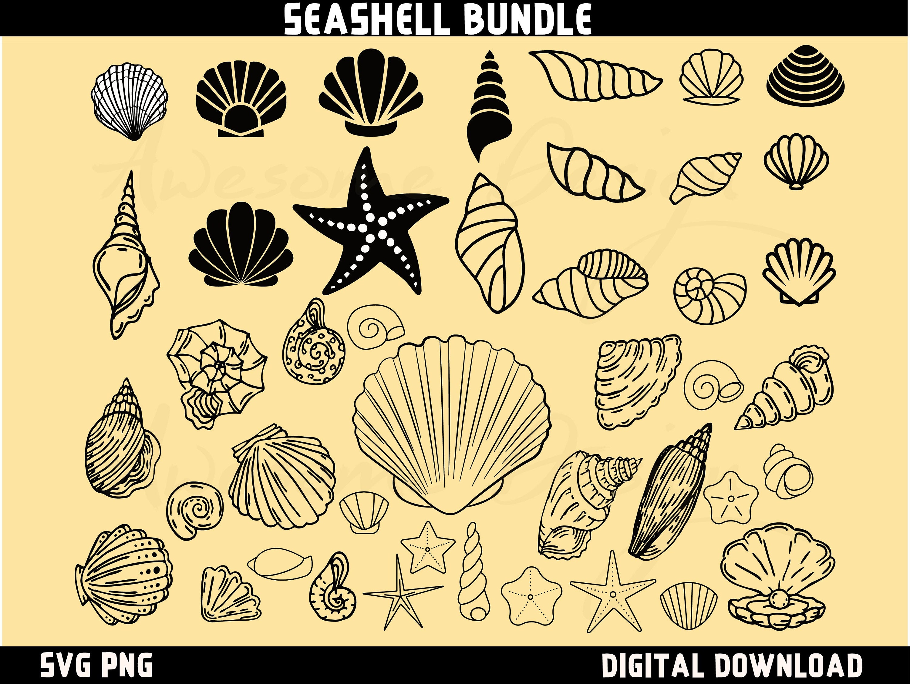 Seashell Svg Seashell Silhouette Sea Shell Svg Shellfish - Etsy