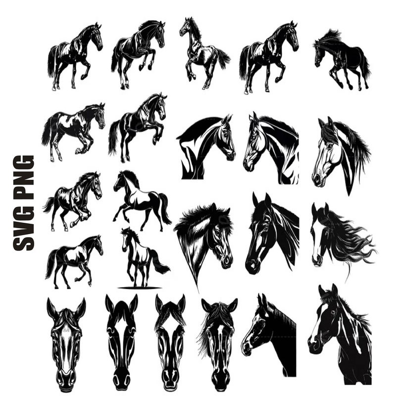 Horse Svg Bundle - Etsy