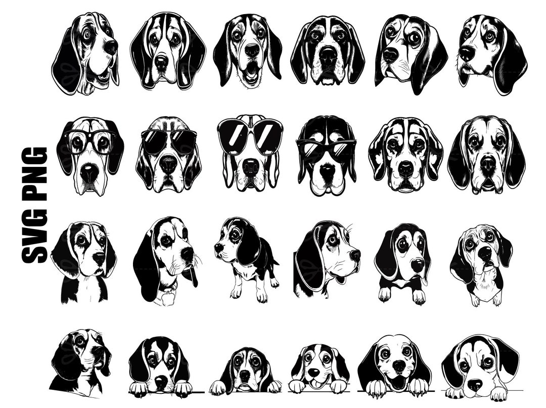 Beagle Svg Beagle Dog Svg Bundle Beagle Head Svg Peeking - Etsy