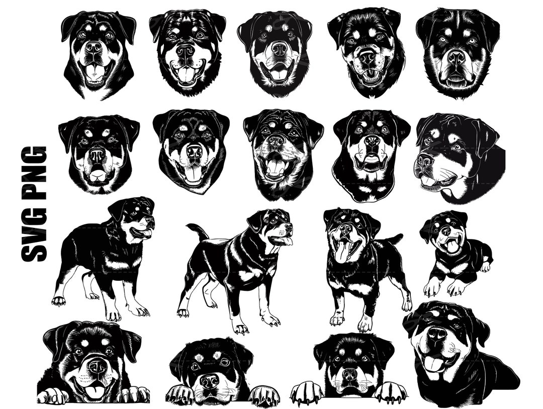 Rottweiler Svg Rottweiler Png Rottweiler Clipart Peeking - Etsy