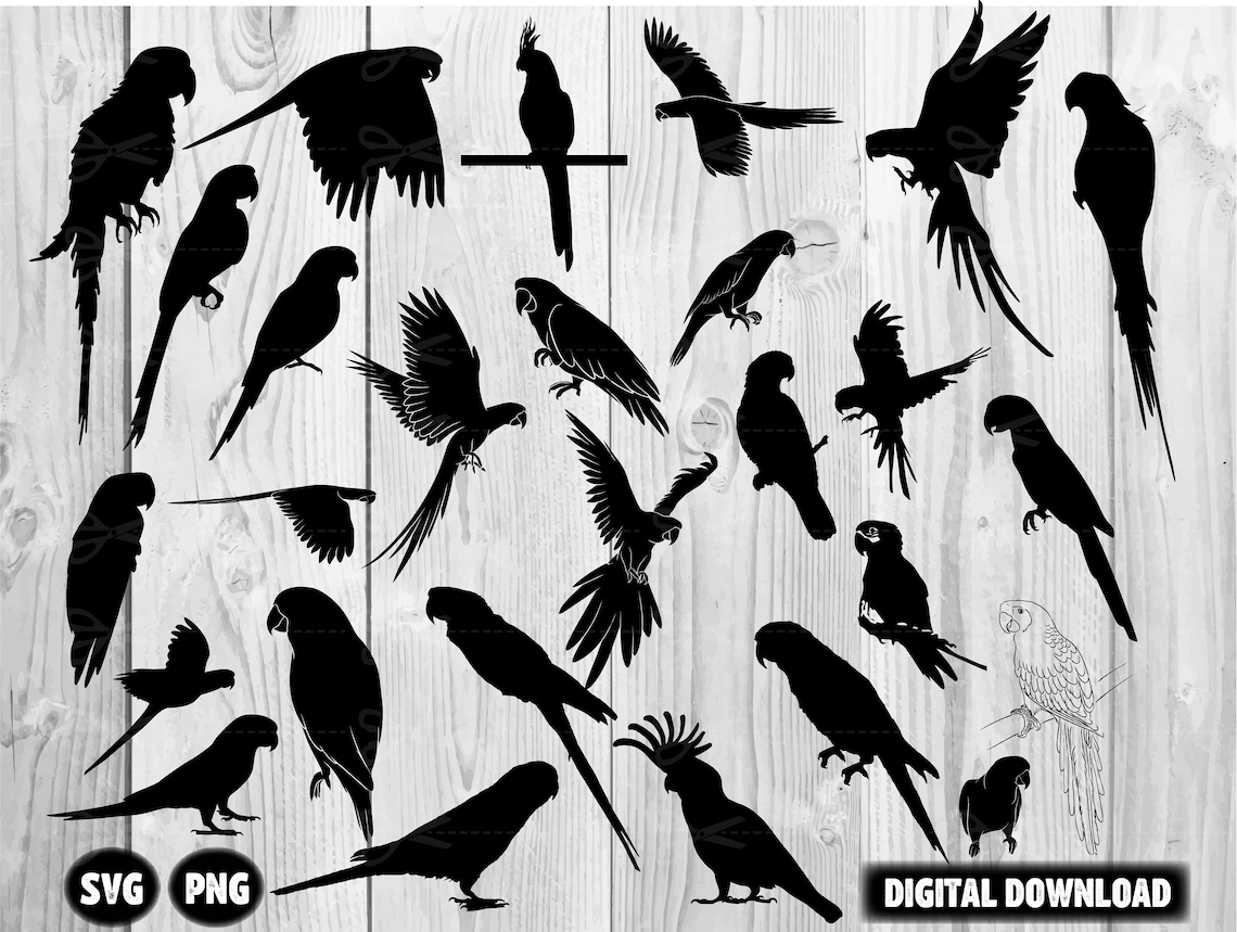 Parrot Svg Parrot Svg Cut Files Parrot Svg Bundle Parrot - Etsy