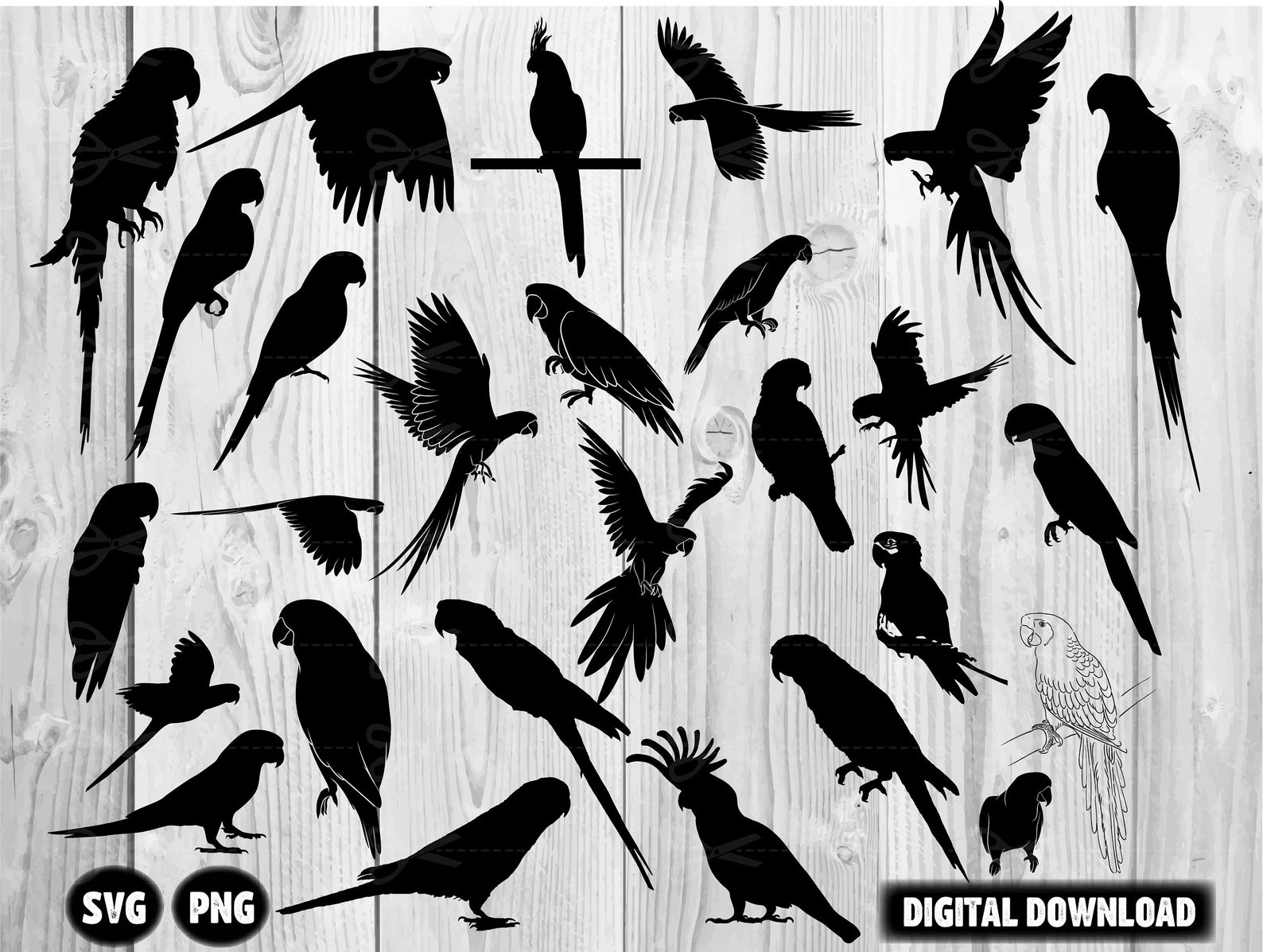 Parrot Svg Parrot Svg Cut Files Parrot Svg Bundle Parrot - Etsy