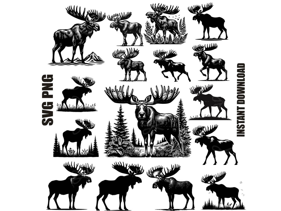 Moose Svg, Moose Silhouette, Moose Svg Bundle, Moose Clipart, Moose ...