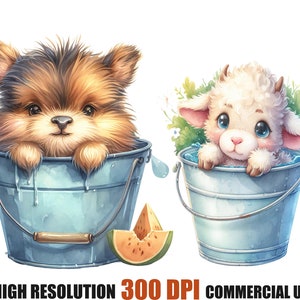 Watercolor Farm Animals in A Bucket Png Bundle | Highland Cow in a ...