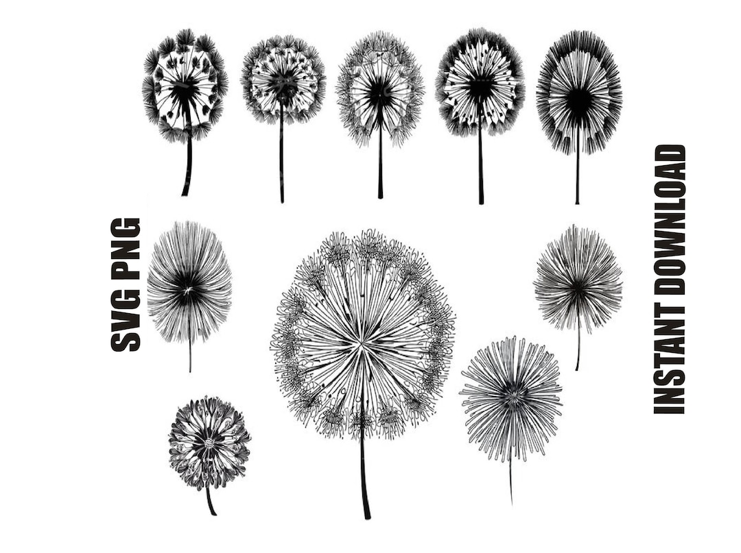 Dandelion Svg. Dandelion Flower Svg, Dandelion Clipart, Dandelion Png ...