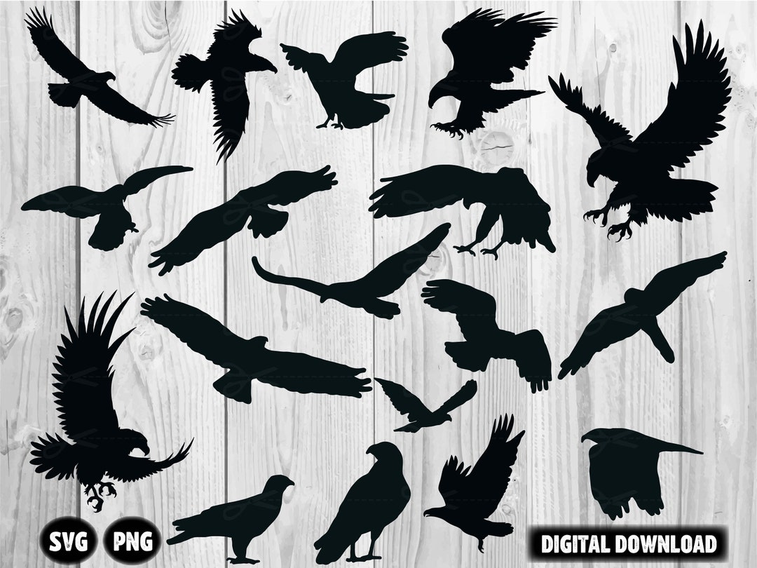 Hawk Svg Hawk Silhouette hawk Svg Bundle Eagle Svg eagles - Etsy