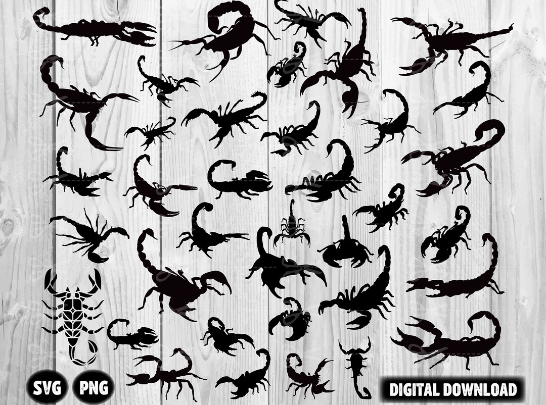 Scorpio Svg Scorpion Svg Scorpio Svg Cut Files Scorpio - Etsy