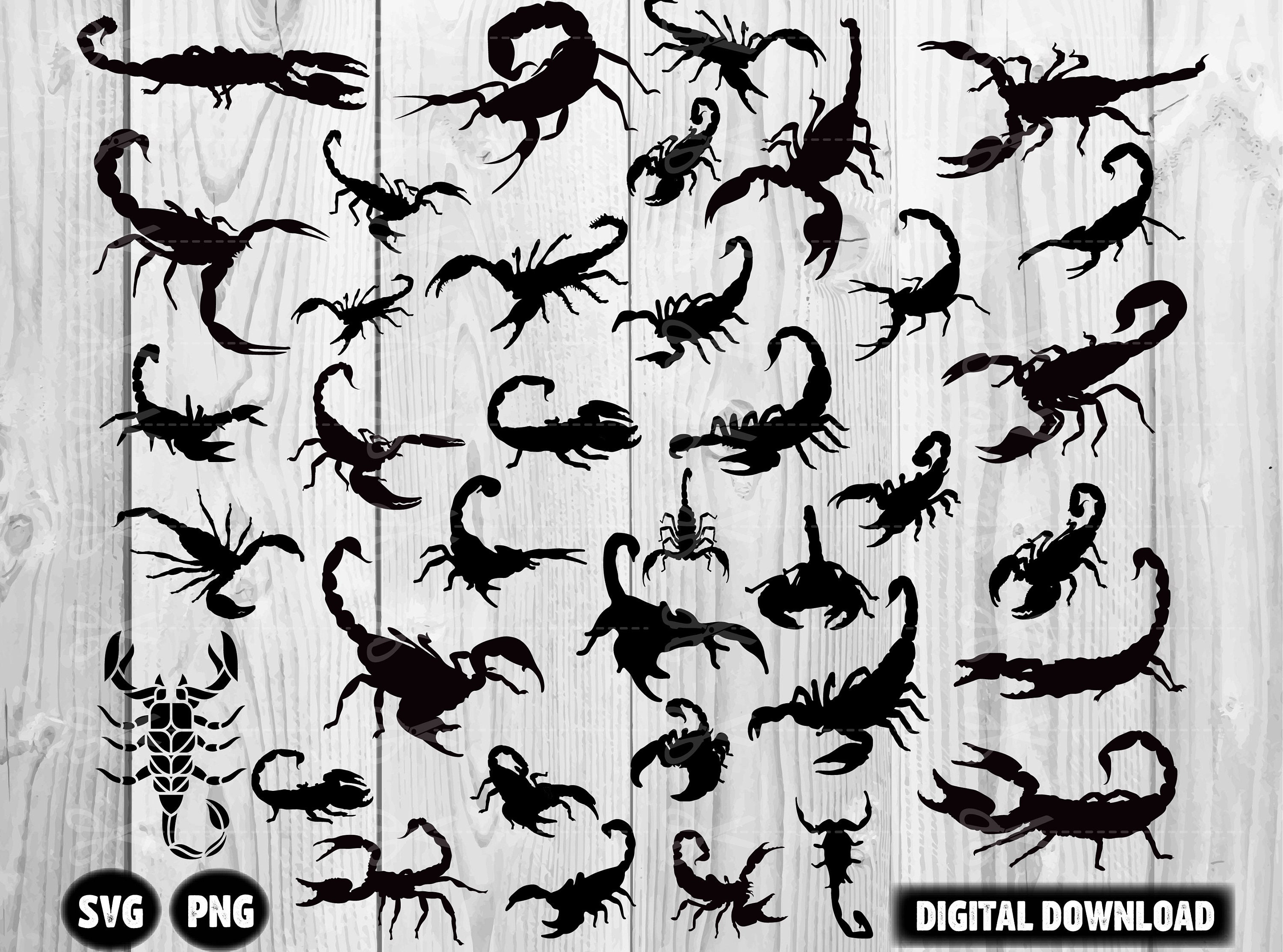 Scorpio svg Scorpion svg Scorpio svg cut files Scorpio - Etsy México