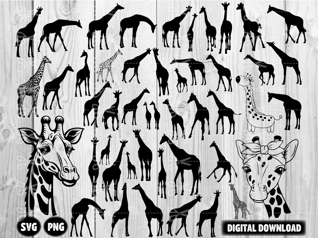 Giraffe Svg, Giraffe Svg Bundle, Giraffe Silhouette, Cute Giraffe Svg ...