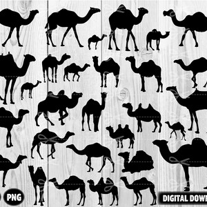 Camel Svg Bundle Camel Silhouette Camel Clipart Camel Cut - Etsy