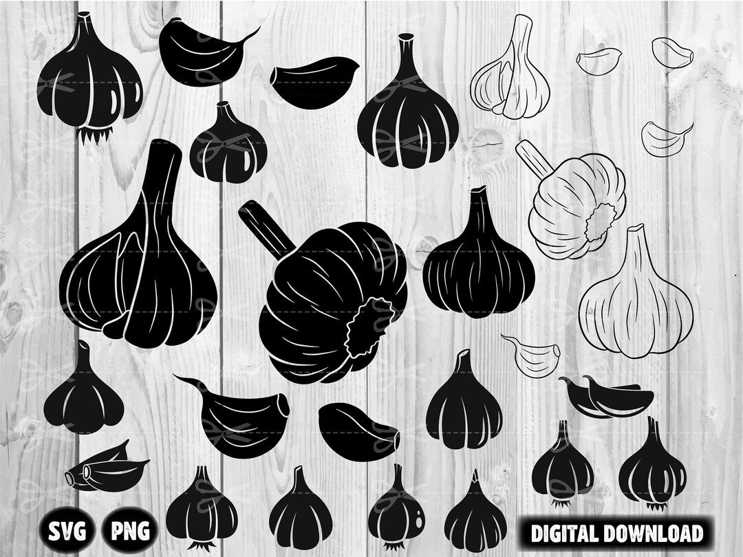 Garlic Svg, Garlic Cut Files, Garlic Clove Svg, Garlic Png, Garlic ...
