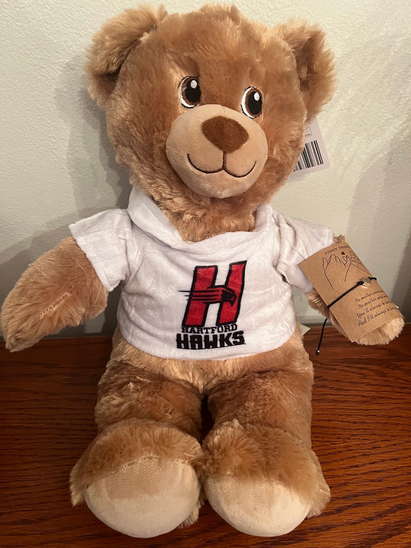 College Teddy Bear - Etsy