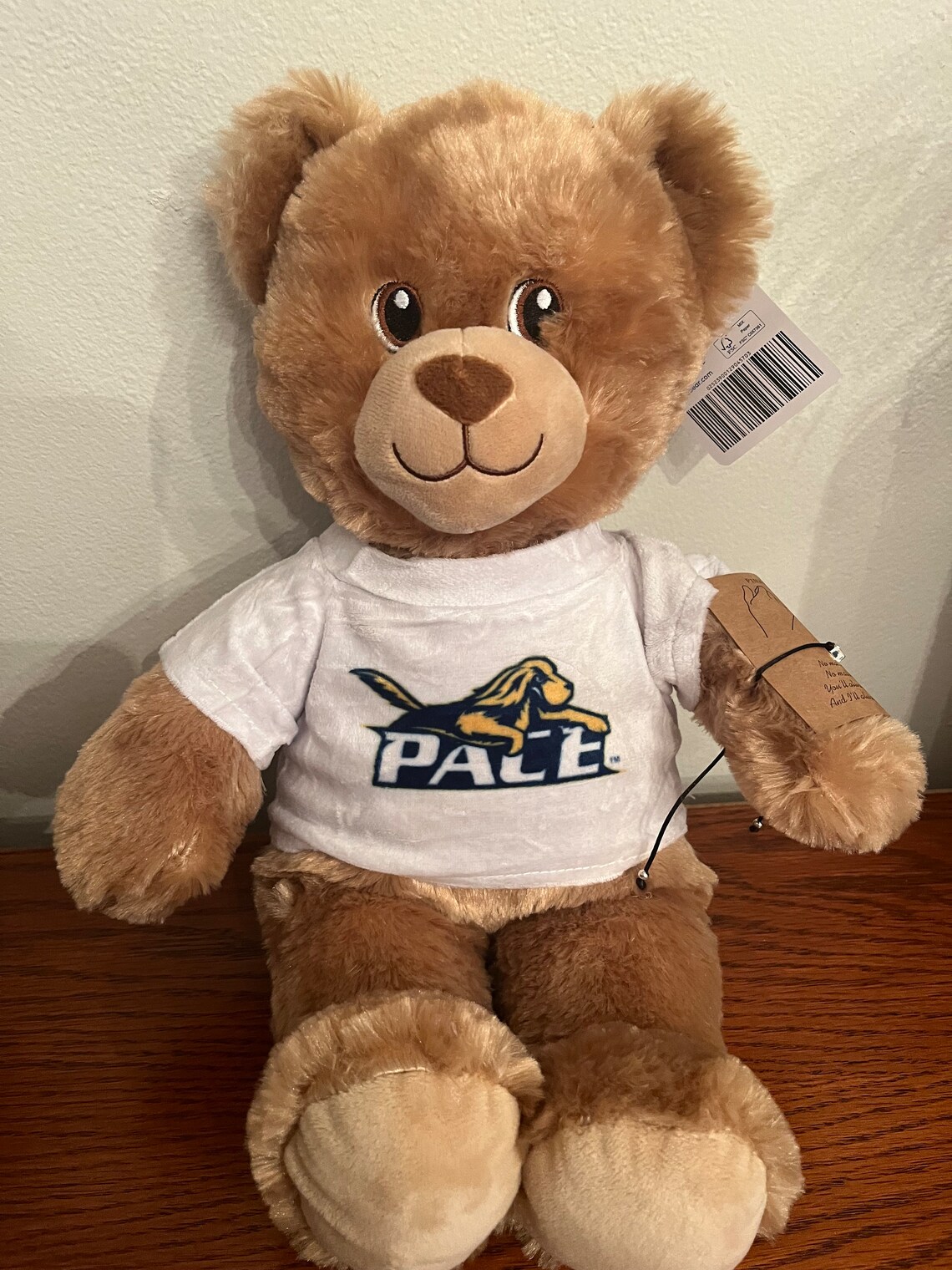 College Teddy Bear - Etsy