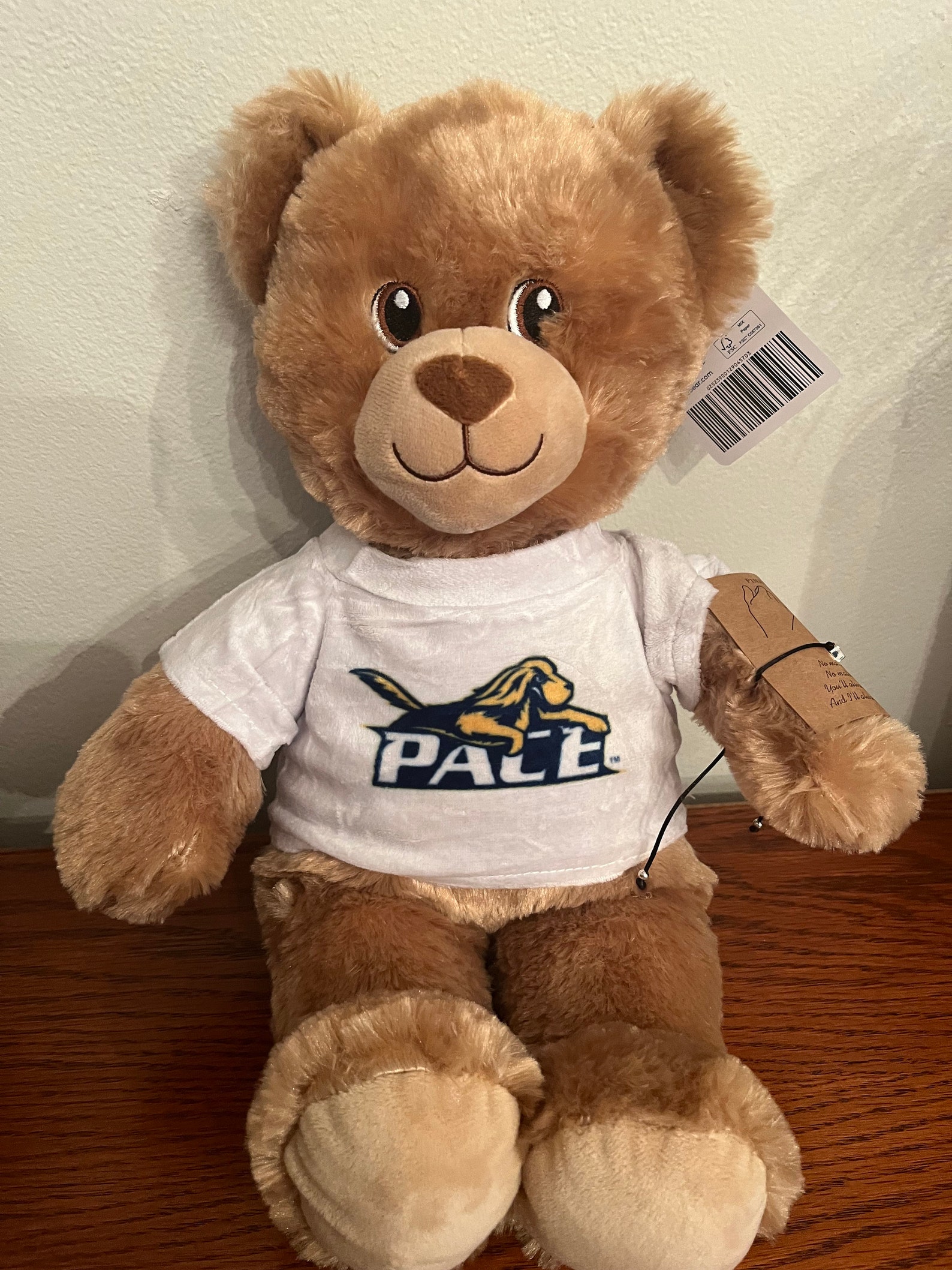 College Teddy Bear - Etsy
