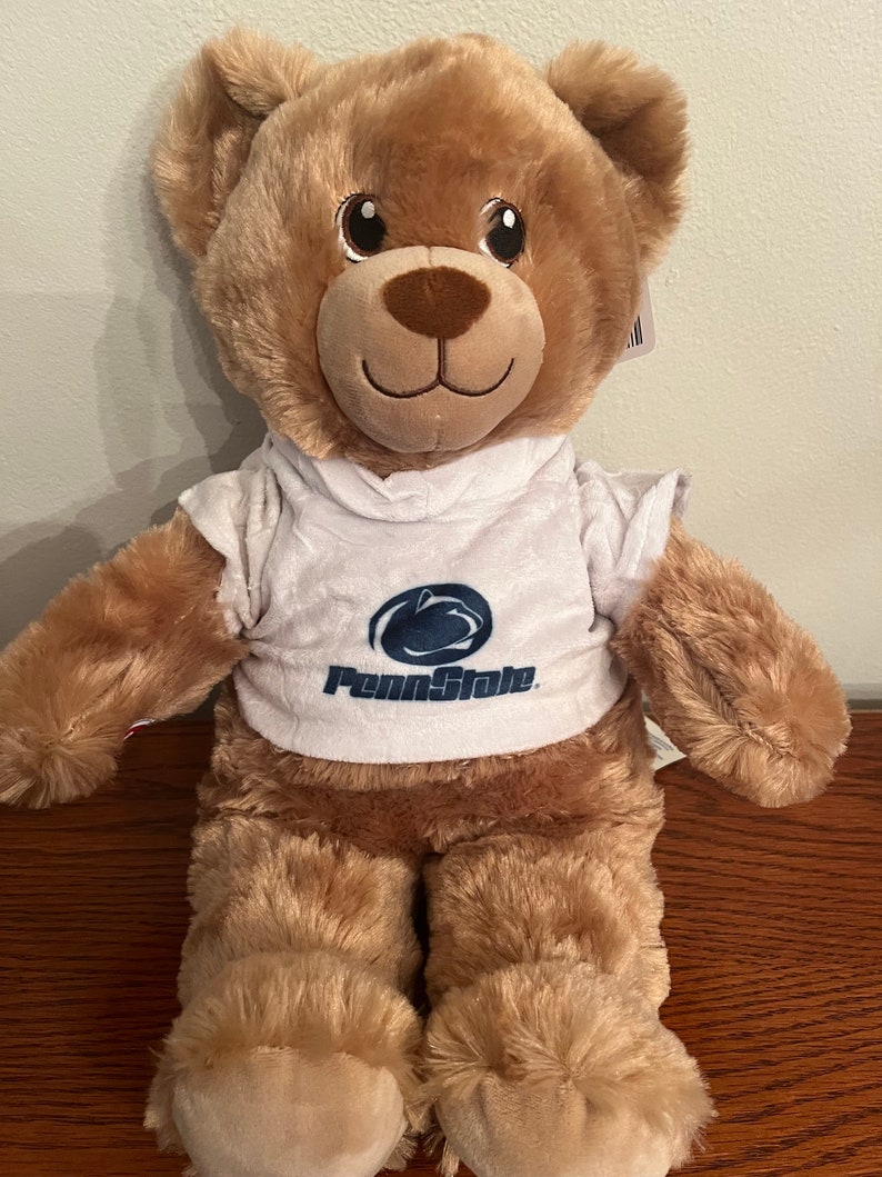 College Teddy Bear - Etsy