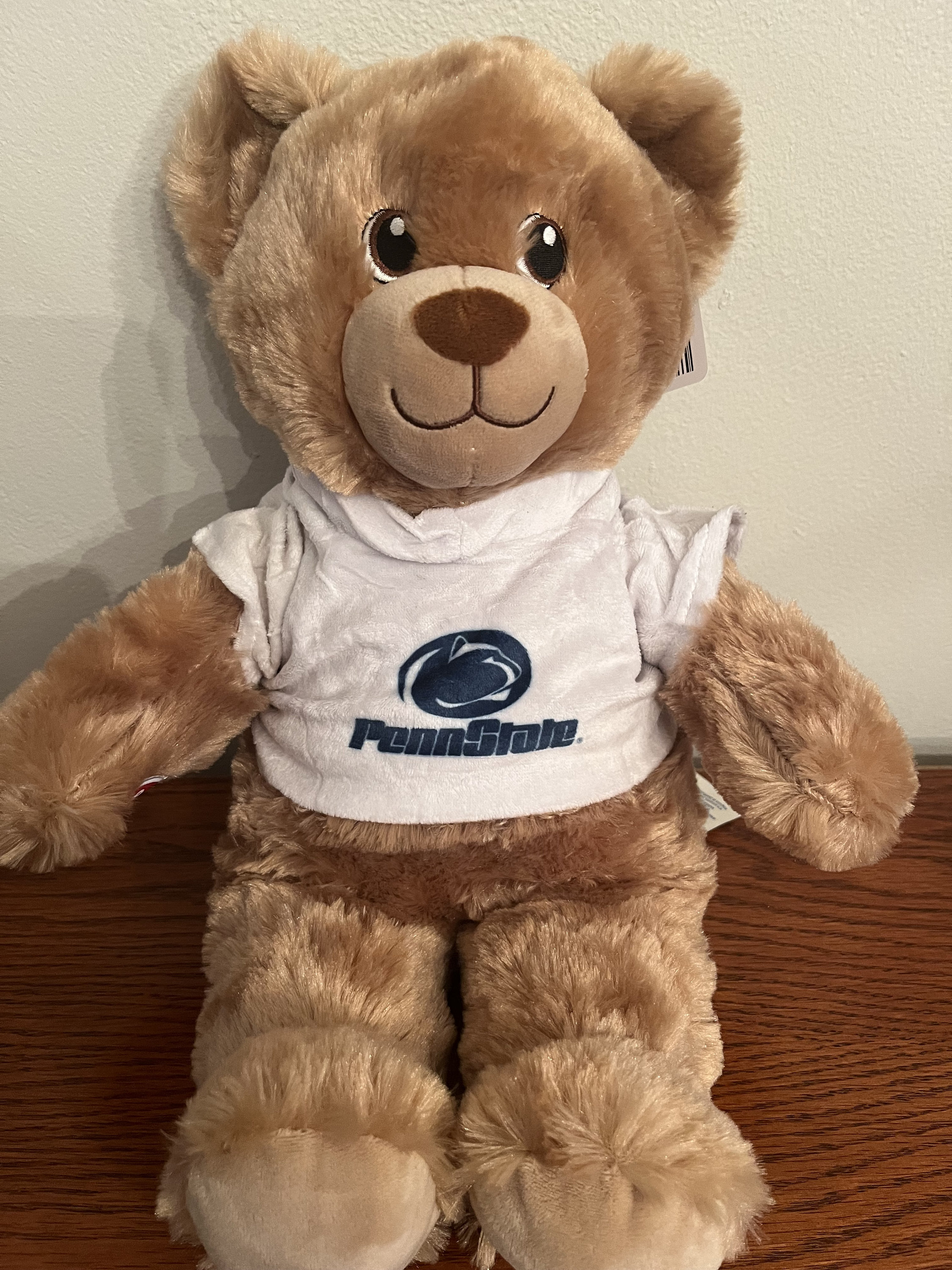 College Teddy Bear - Etsy