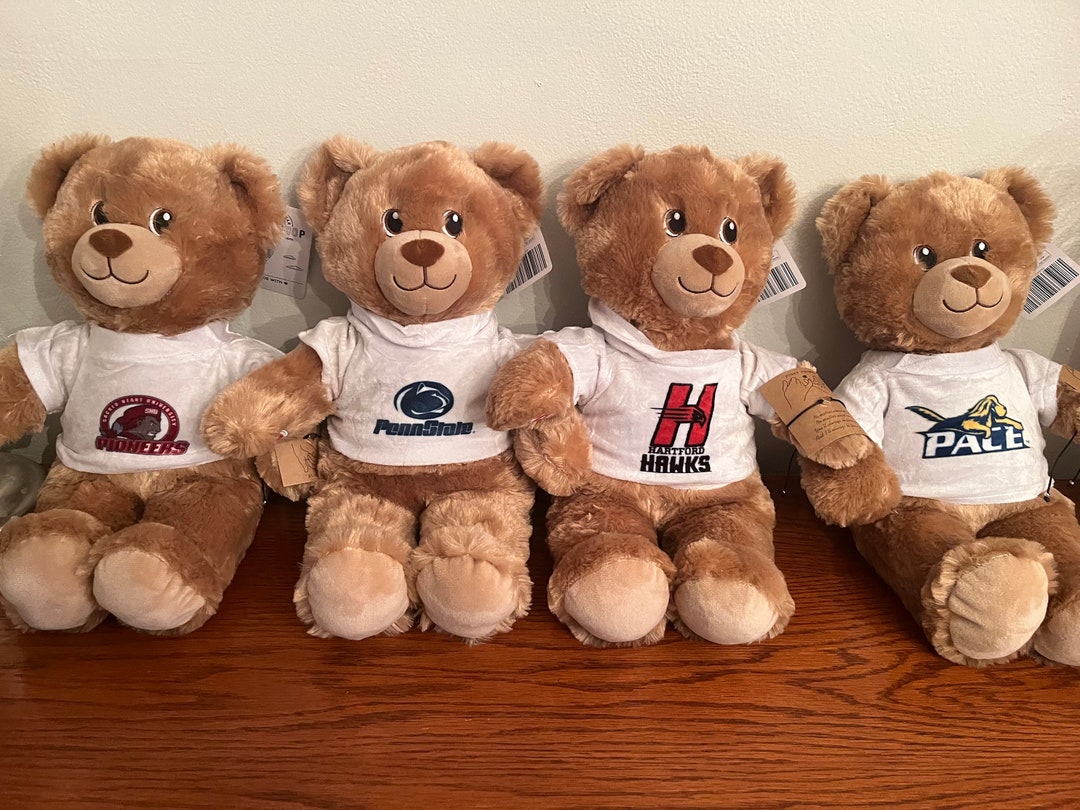 College Teddy Bear - Etsy