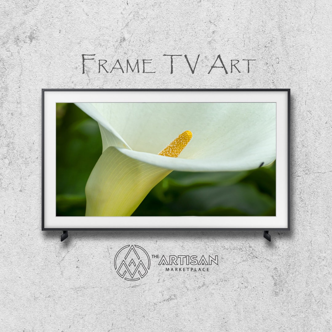 Calla Lily Samsung Frame TV Art: Original Digital Download - Etsy
