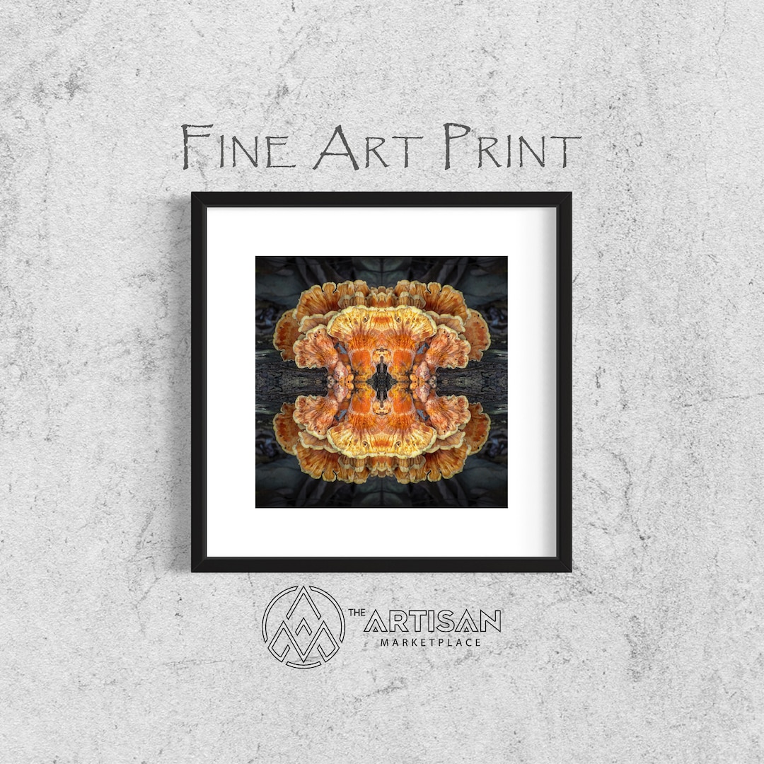 Fungi Abstract Art Print: Bracket Polypore Photography - Etsy