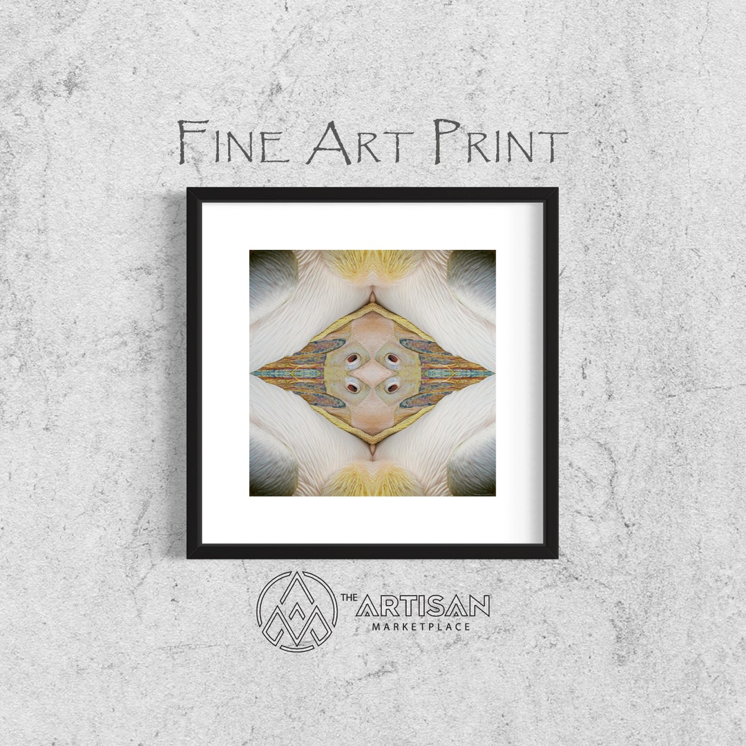Abstract Pelican Fine Art Print: Square Canvas Wall Decor - Etsy