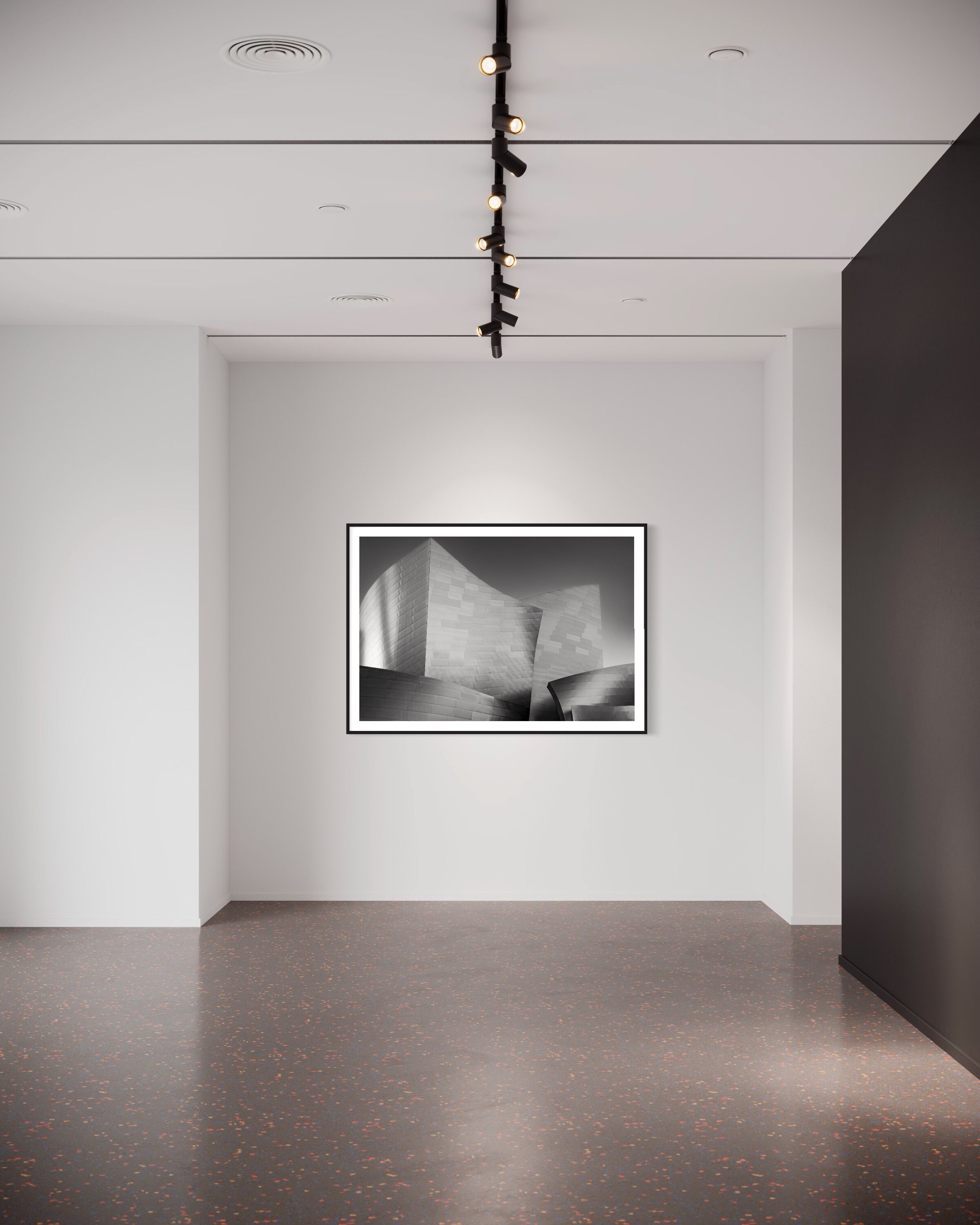 Walt Disney Concert Hall • Fine Art Photography • Canvas Print ...