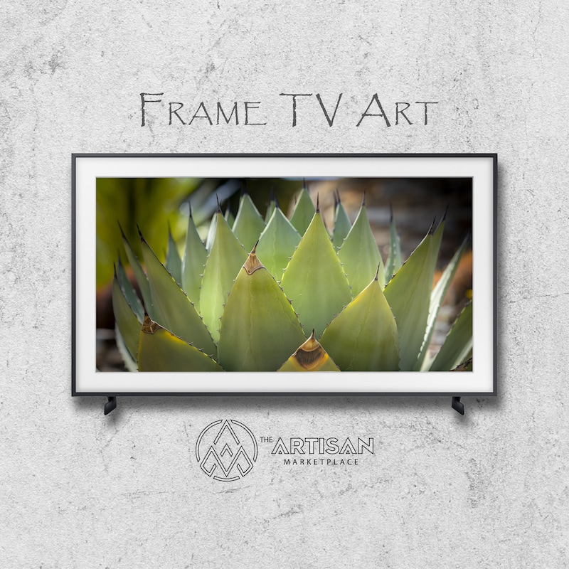 Metal Agave Yard Art - Etsy