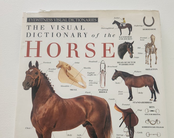 Eyewitness Visual Dictionaries the Visual Dictionary of the Horse ...