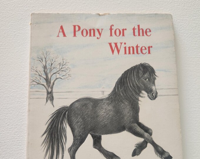A Pony for the Winter by Helen Kay -- 1970 Vintage Children's ...