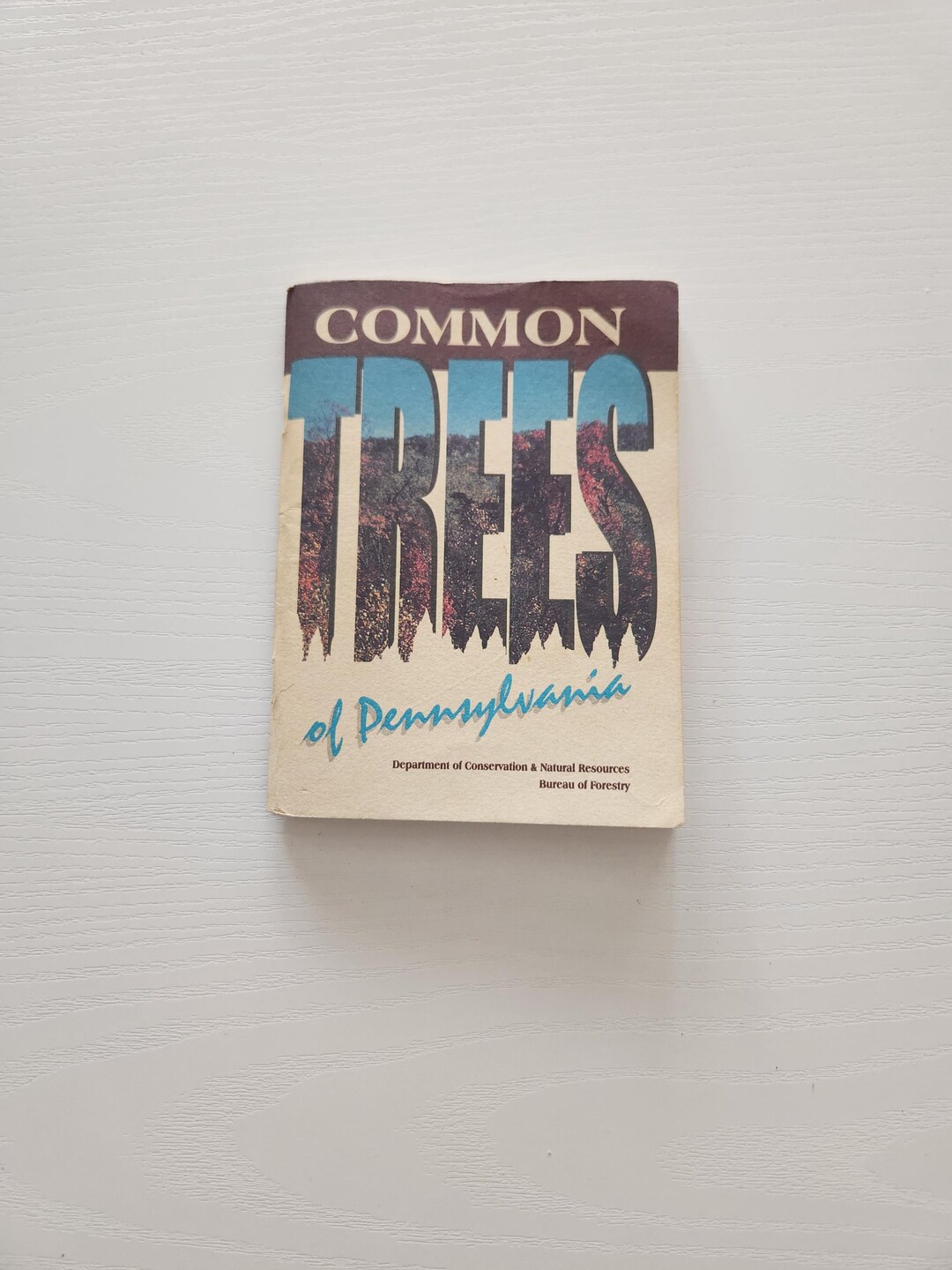 Common Trees of Pennsylvania Bureau of Forestry -- Vintage Tree ...