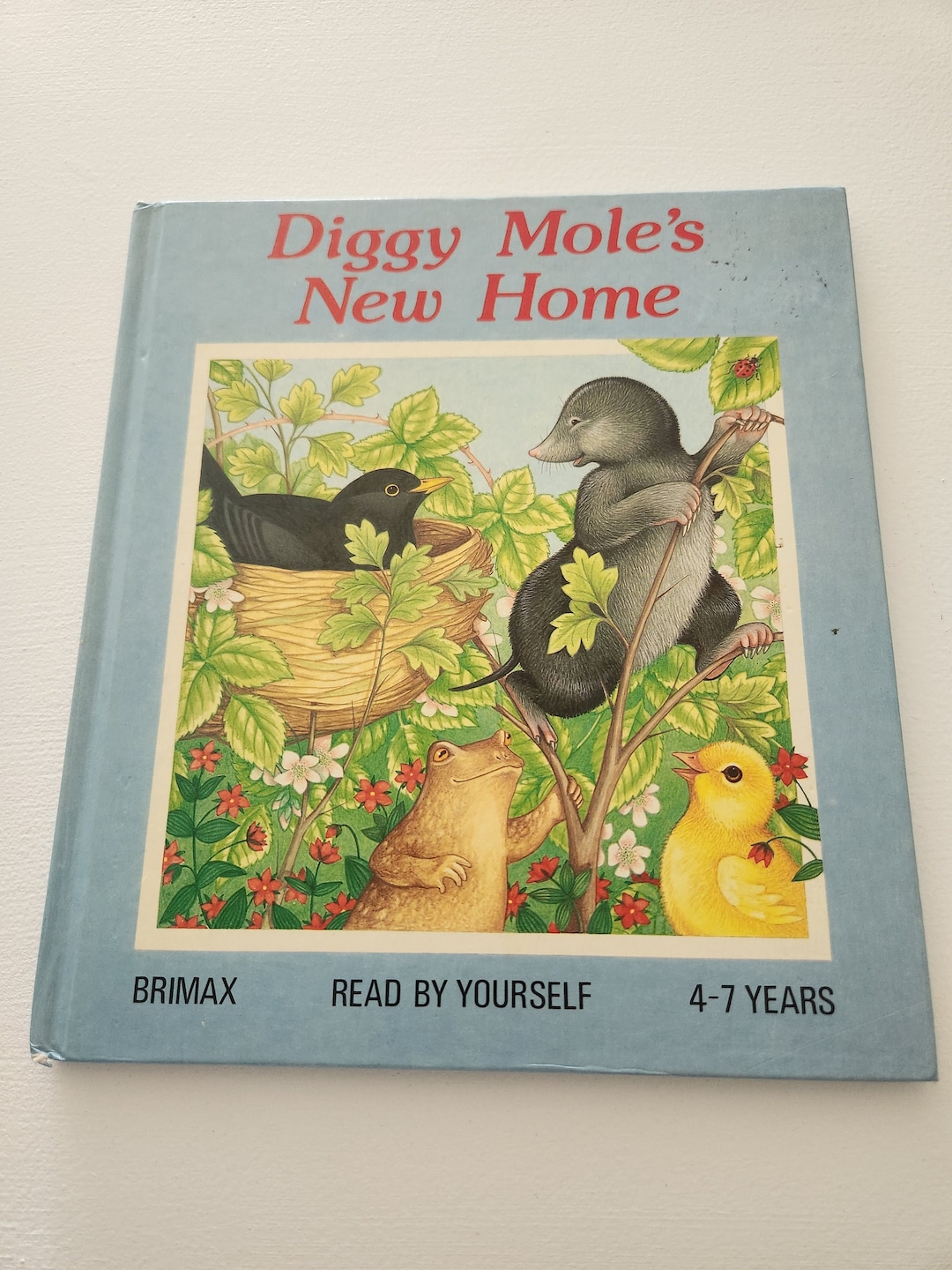Diggy Mole's New Home 1987 Vintage Children's Book Picture Book Animal ...