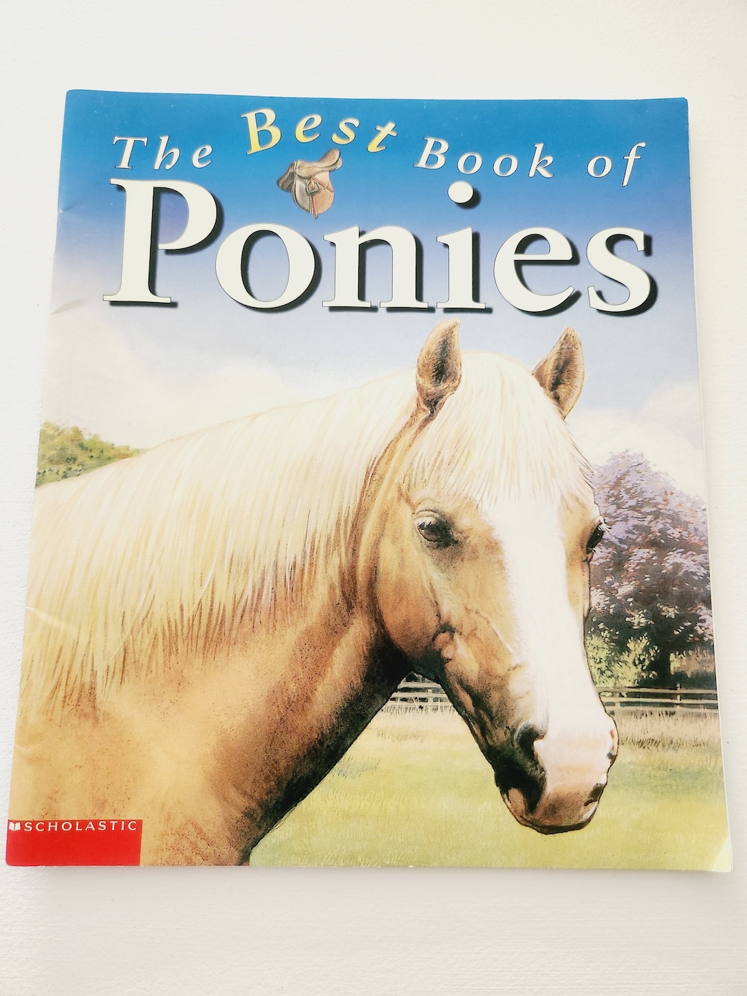 The Best Book of Ponies -- Vintage Children's Pony Book -- Children ...